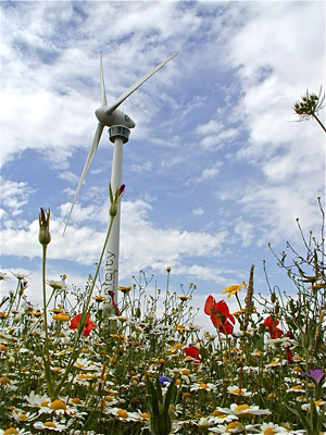 Ecotricity Review -Green Electricity & Eco Energy Offers | Green Abode